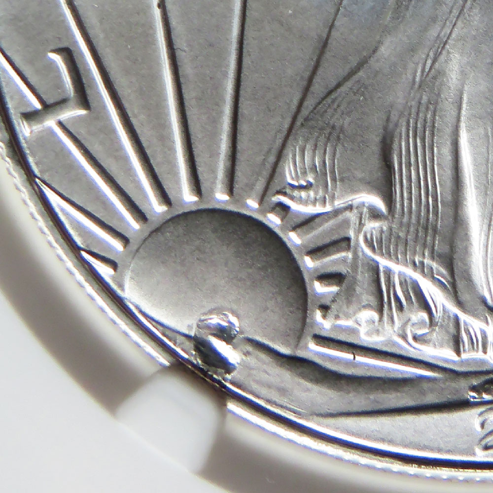 2023 $1 American Silver Eagle NGC MS69 FDI Mint Error Obverse Struck Thru - Pinehurst Coins